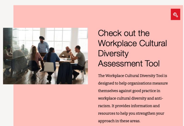 Organisational Culture - Creative Equity Toolkit
